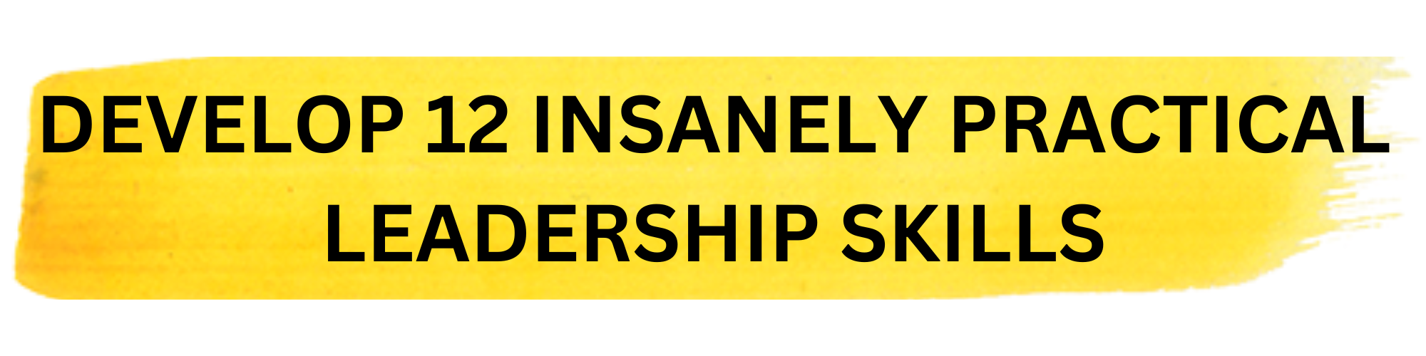DEVELOP 12 INSANELY PRACTICAL LEADERSHIP SKILLS | Stephen Blandino